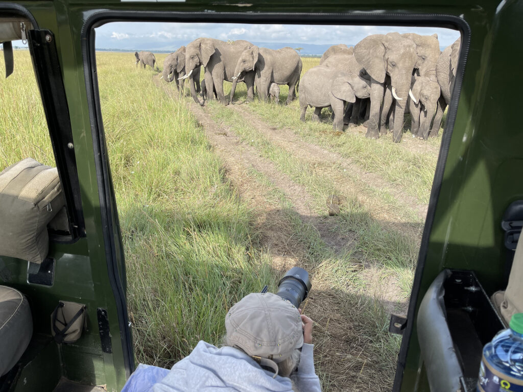 About - Piper Mackay Photography