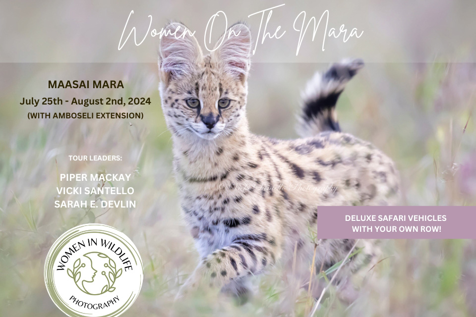 Women on the Mara - Piper Mackay Photography