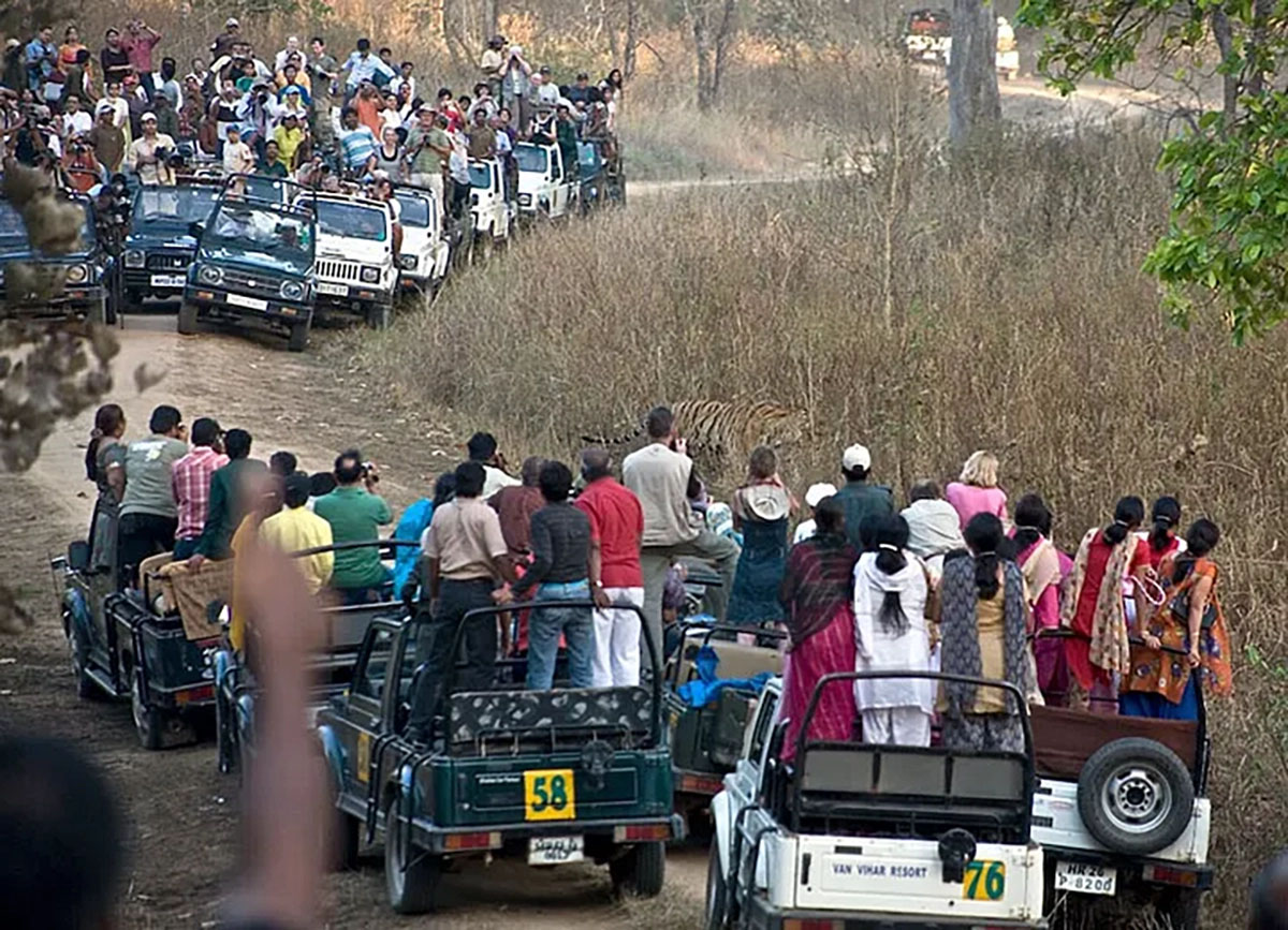 India-crowds - Piper Mackay Photography